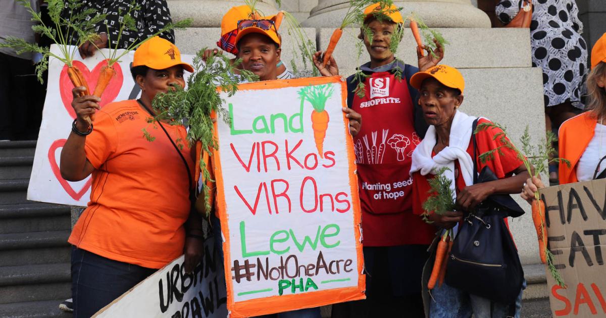 Victory in court for Philippi Horticultural Area | Heinrich Böll ...