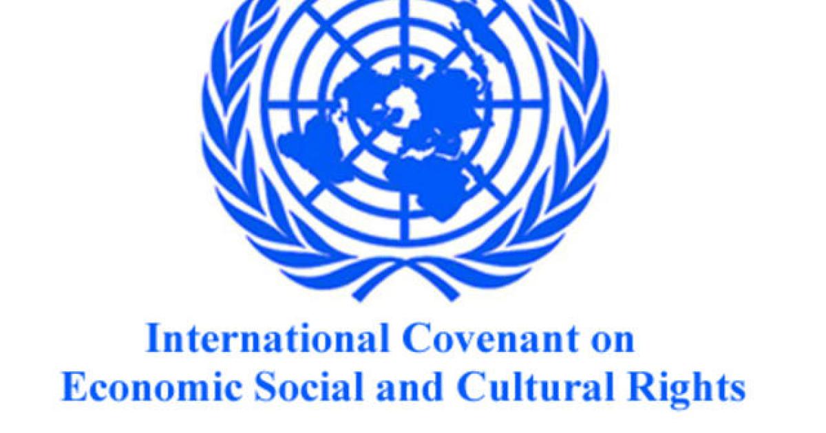 Un Committee On Economic Social And Cultural Rights Affirms Eelc Joint