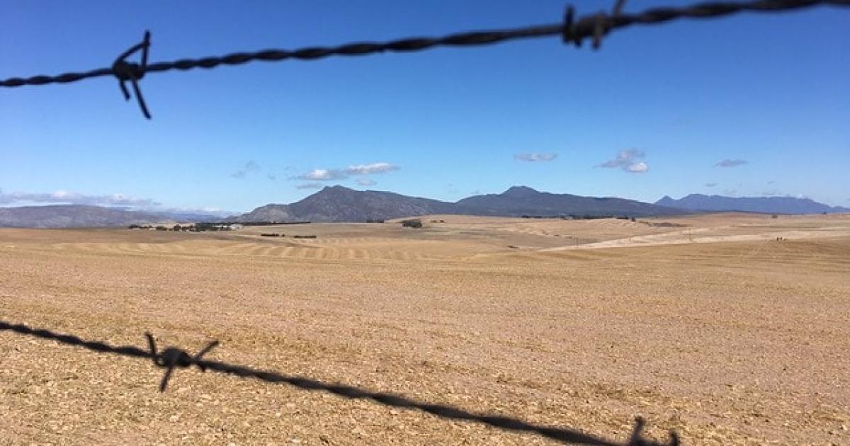 Resolving South Africa’s land crisis in South Africa requires radical ...